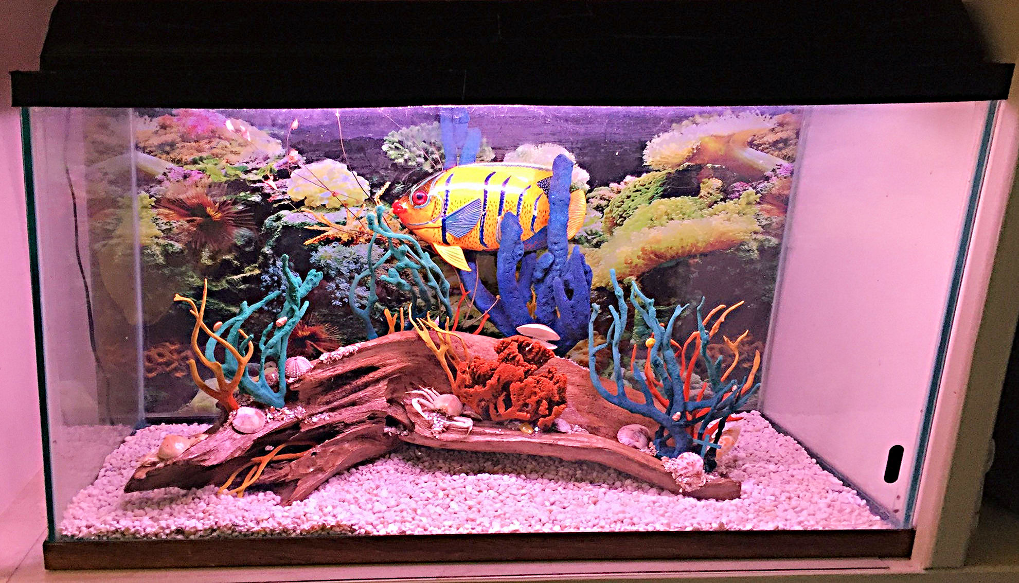 Customer displays | Carolina Coral Creations